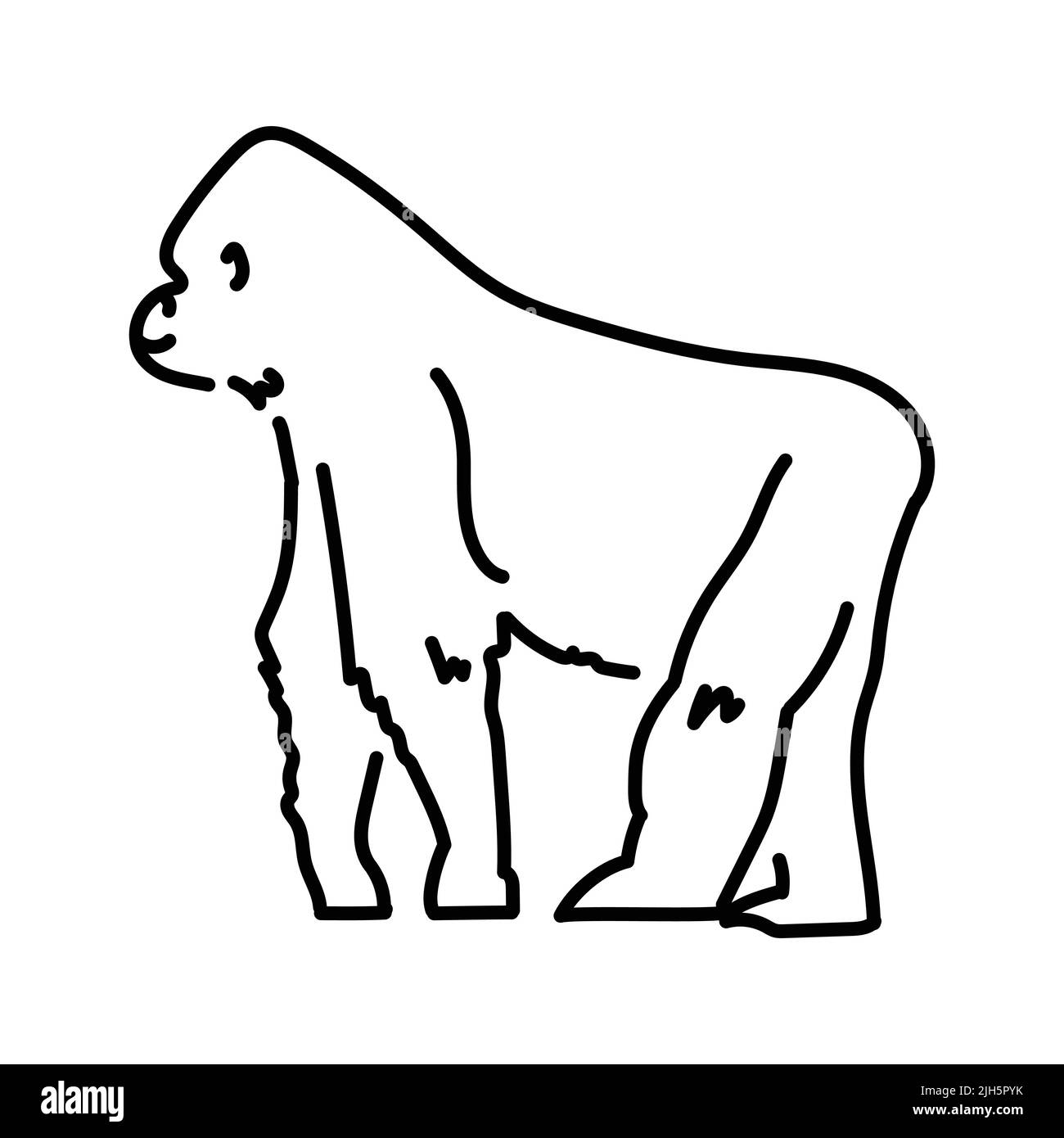 Gorilla color line illustration. Animals of Africa Stock Vector Image ...