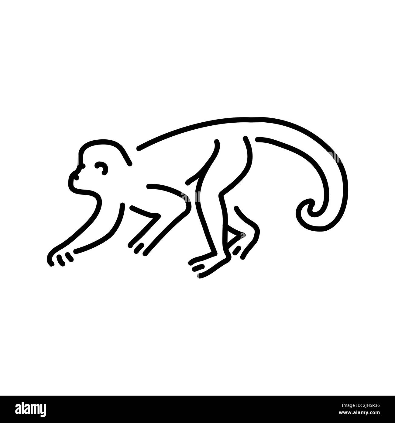 Monkey color line illustration. Animals of Africa Stock Vector Image ...