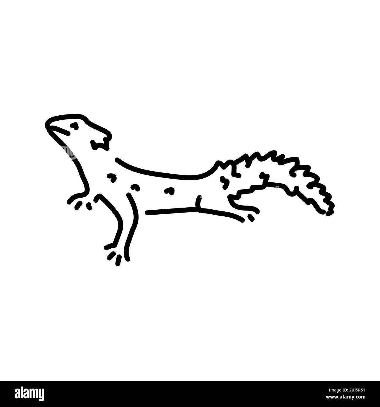 Lizard color line illustration. Animals of Africa Stock Vector Image ...