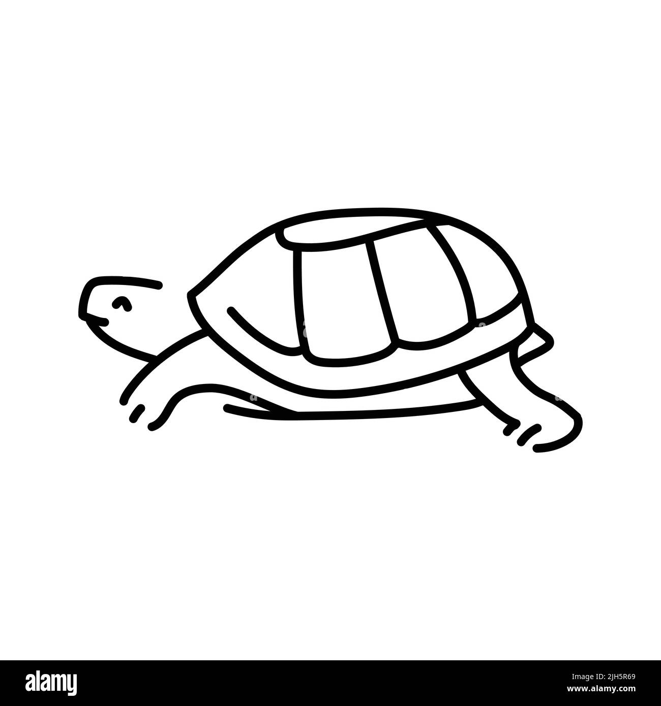 Turtle color line illustration. Animals of Africa Stock Vector Image ...