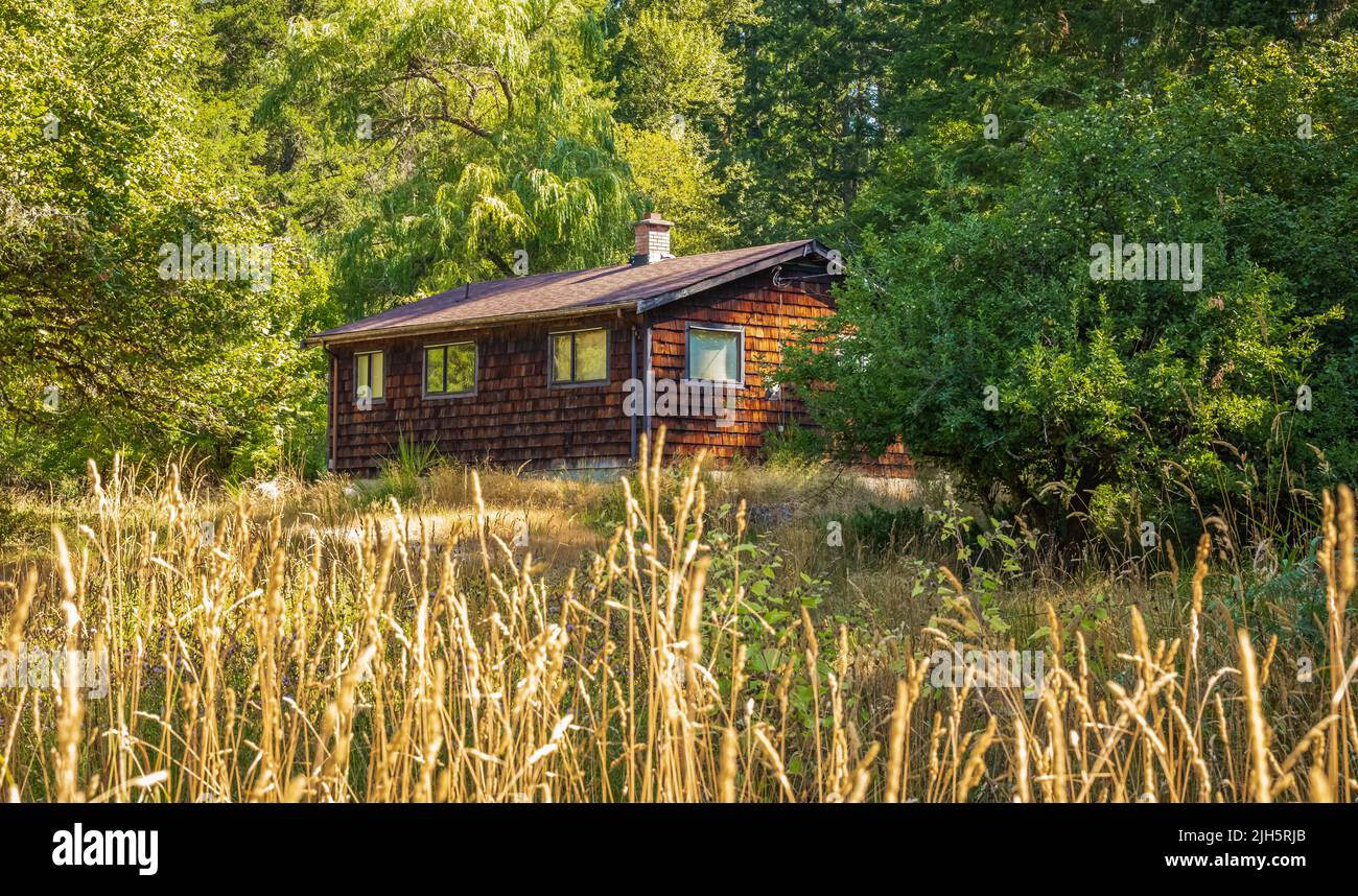 Old Wooden Forest farm house with a green meadow on summer day. Lone ...