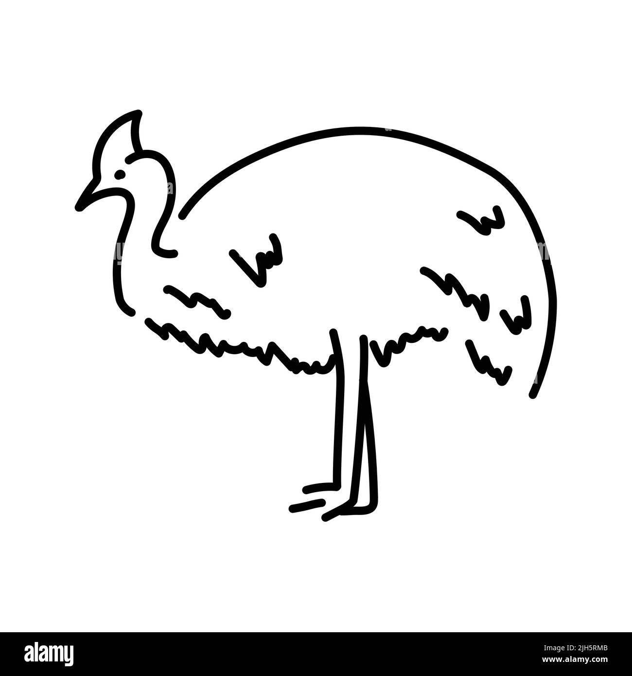 Australian cassowary color line illustration. Animals of Australia ...