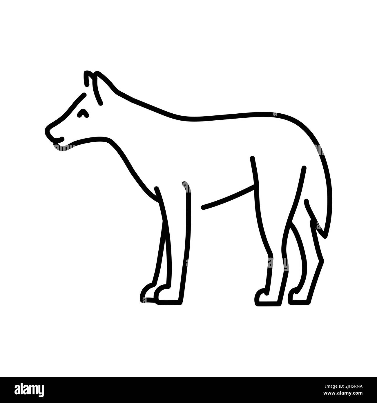 Dingo dog color line illustration. Animals of Australia Stock Vector ...