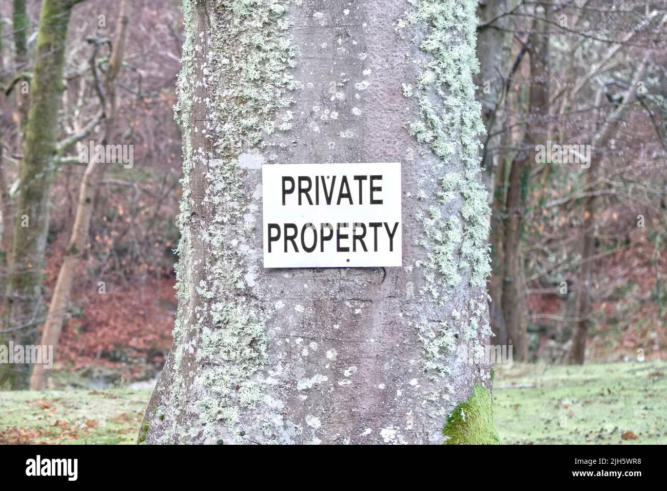 Private property sign fixed to tree in woodlands Stock Photo - Alamy