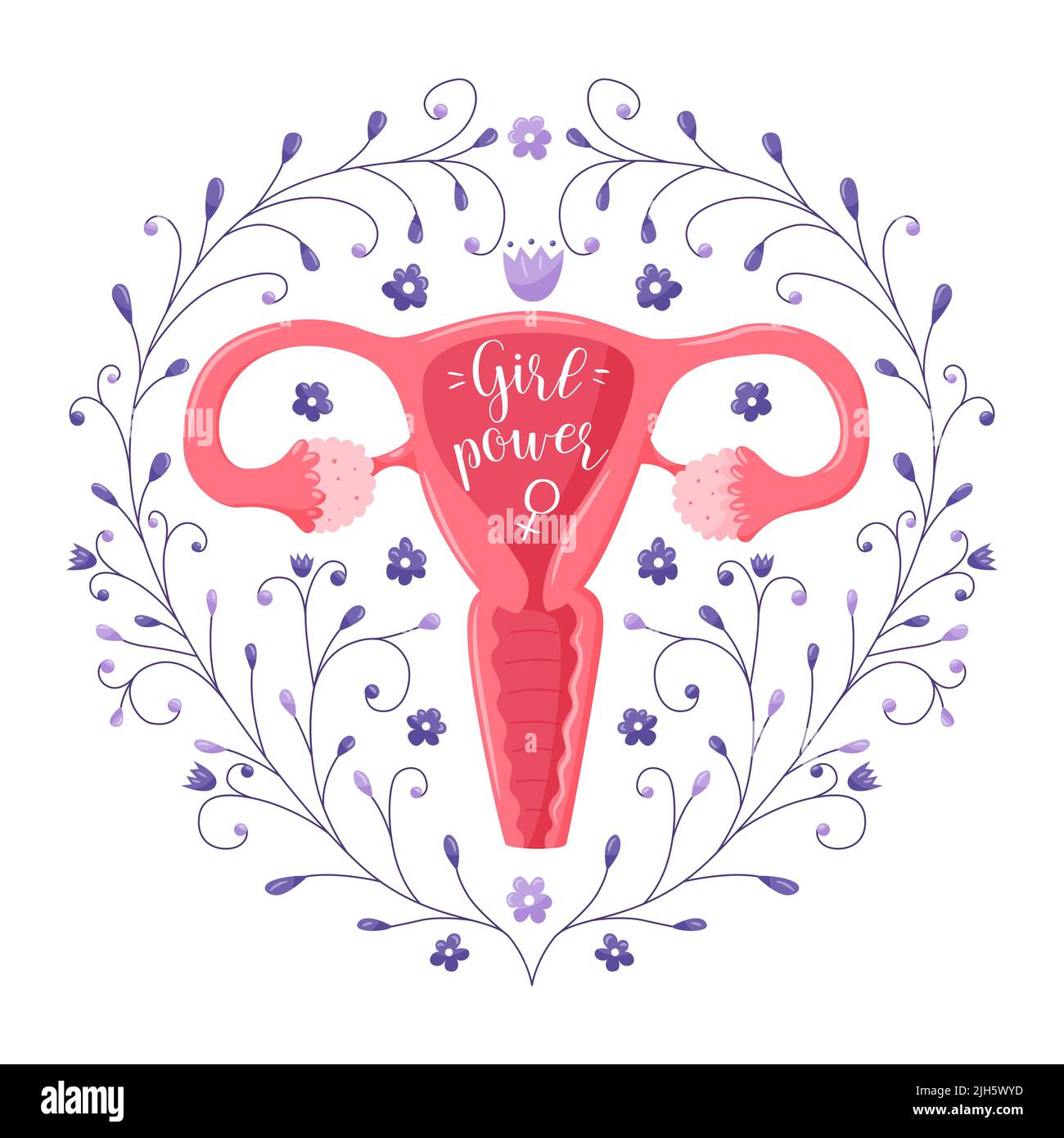 Womb, female reproductive system and plants in the shape of circle ...