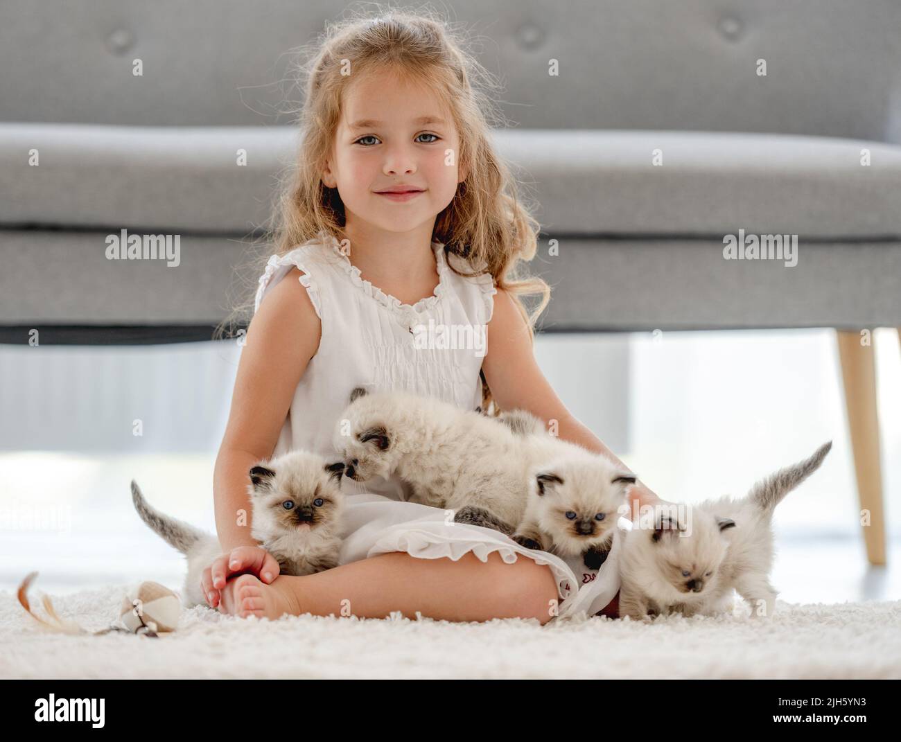 Girl with ragdoll kittens Stock Photo - Alamy