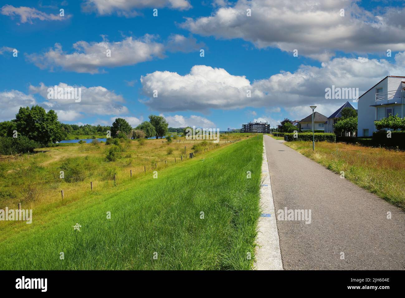 Riverside cycle dike path, rural residential area, river Maas, green ...