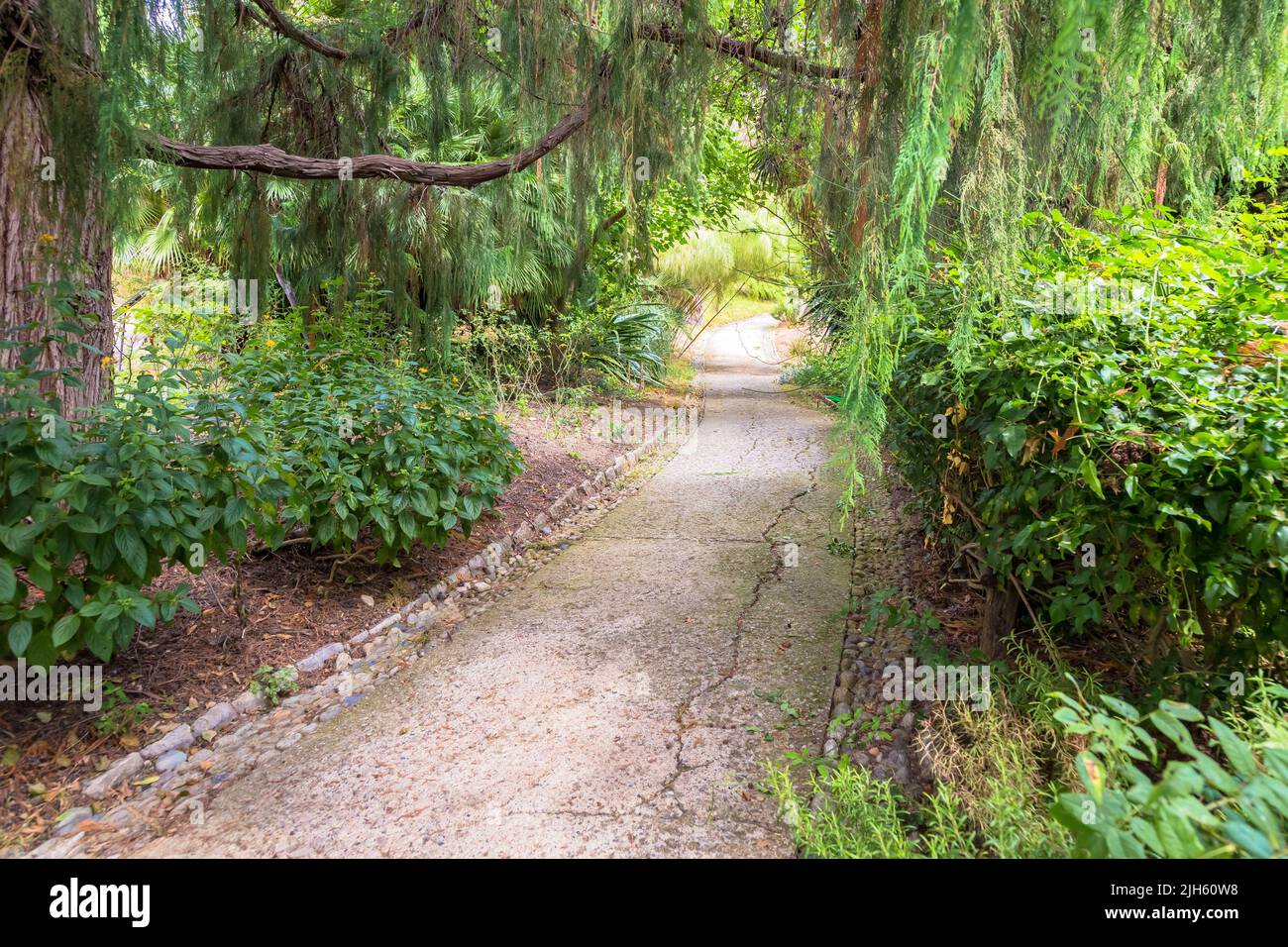 Relaxing and peaceful pathway in botanical garden during summer season ...