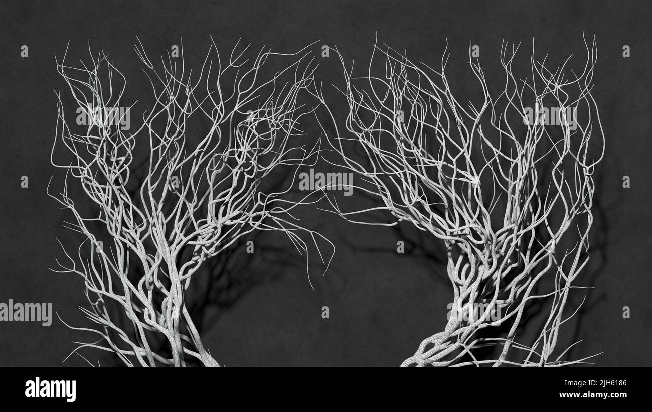 Tree concept. Black and white background. 3D rendering Stock Photo - Alamy
