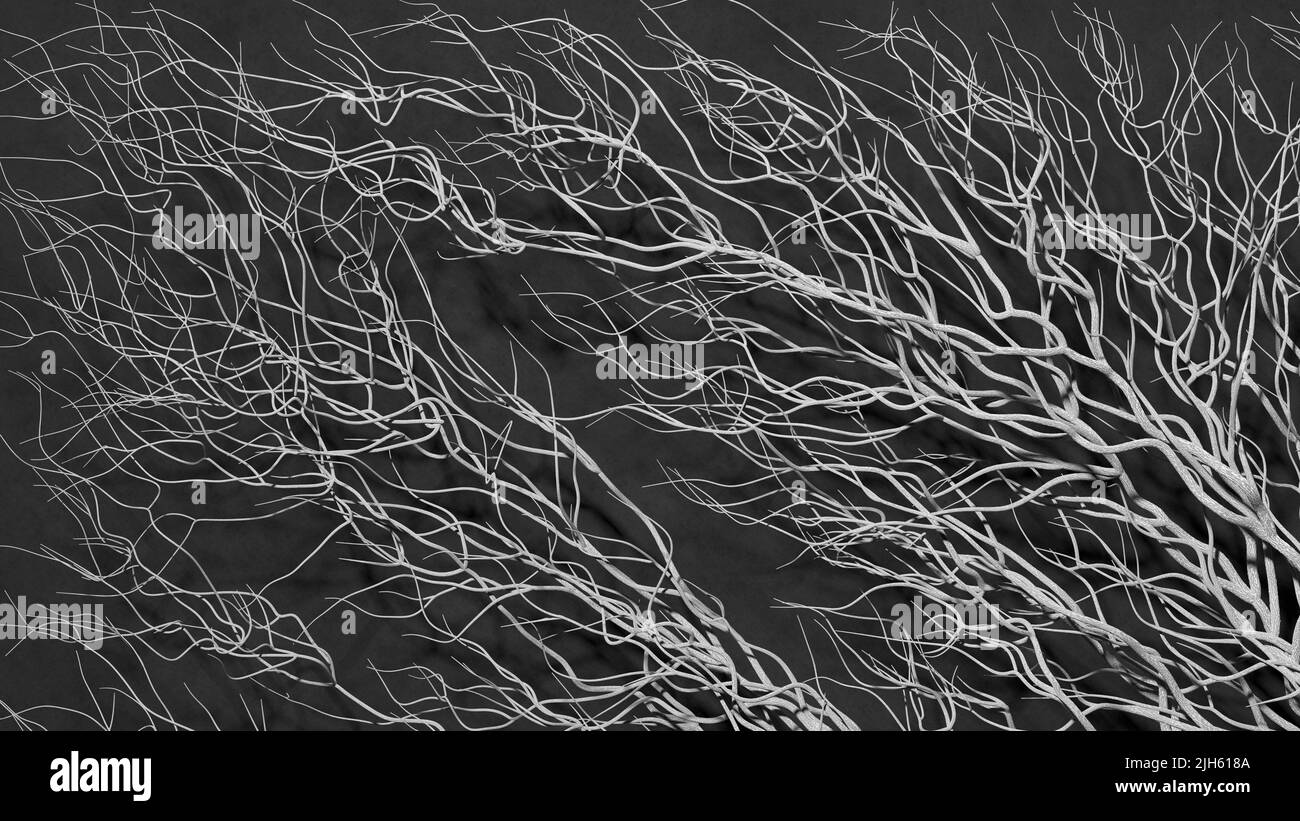 Tree concept. Black and white background. 3D rendering Stock Photo - Alamy