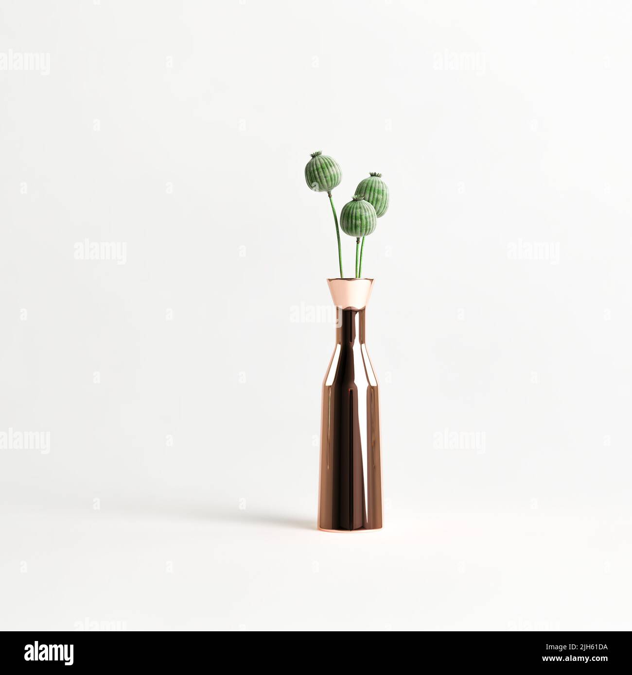 3d illustration of decorative vase inside isolated on white background ...