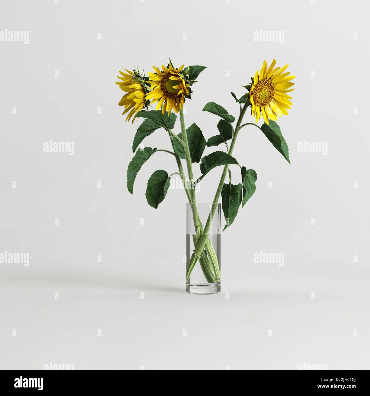 3d illustration of decorative flower vase inside isolated on white ...