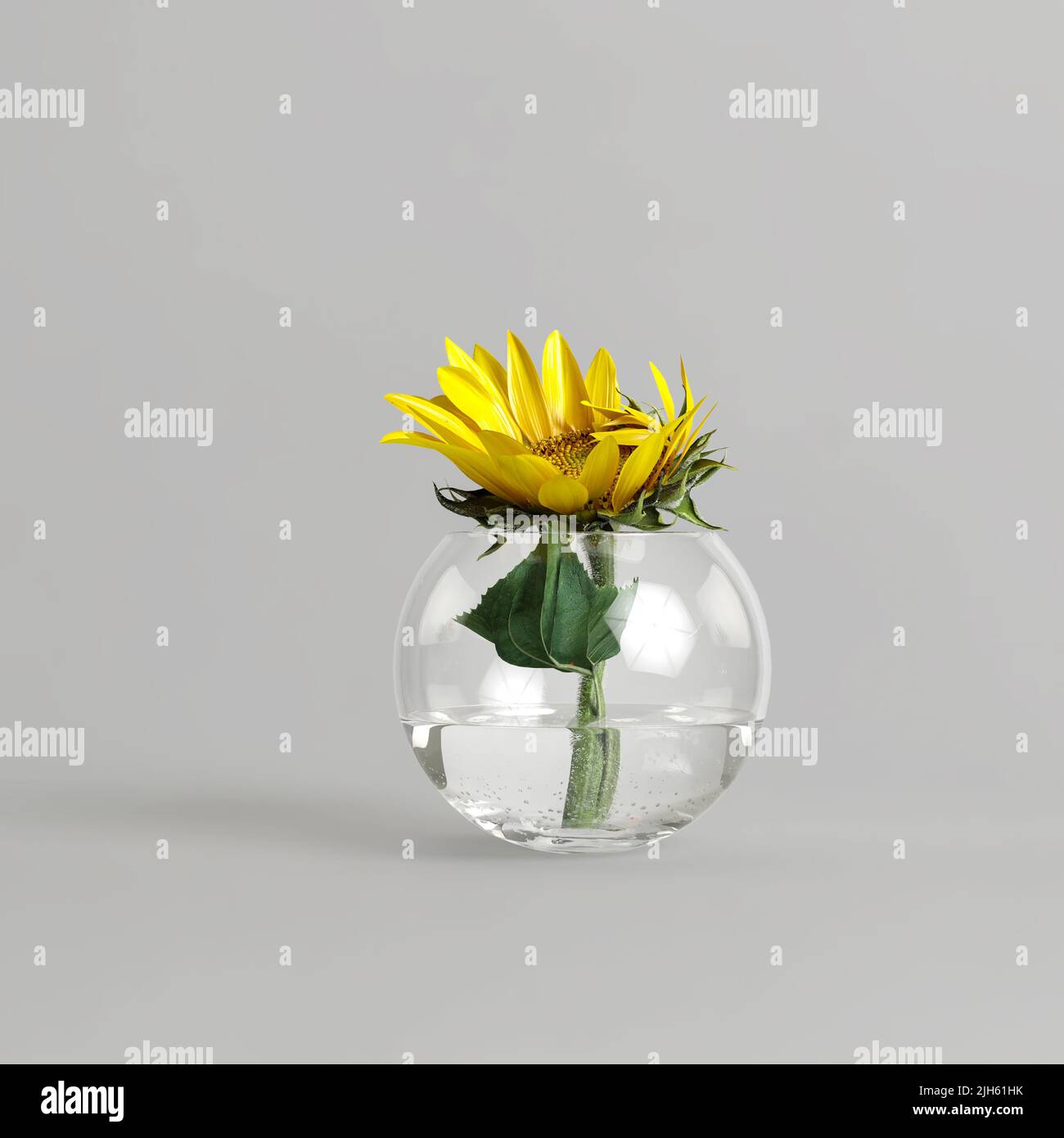 3d illustration of decorative flower vase inside isolated on white ...