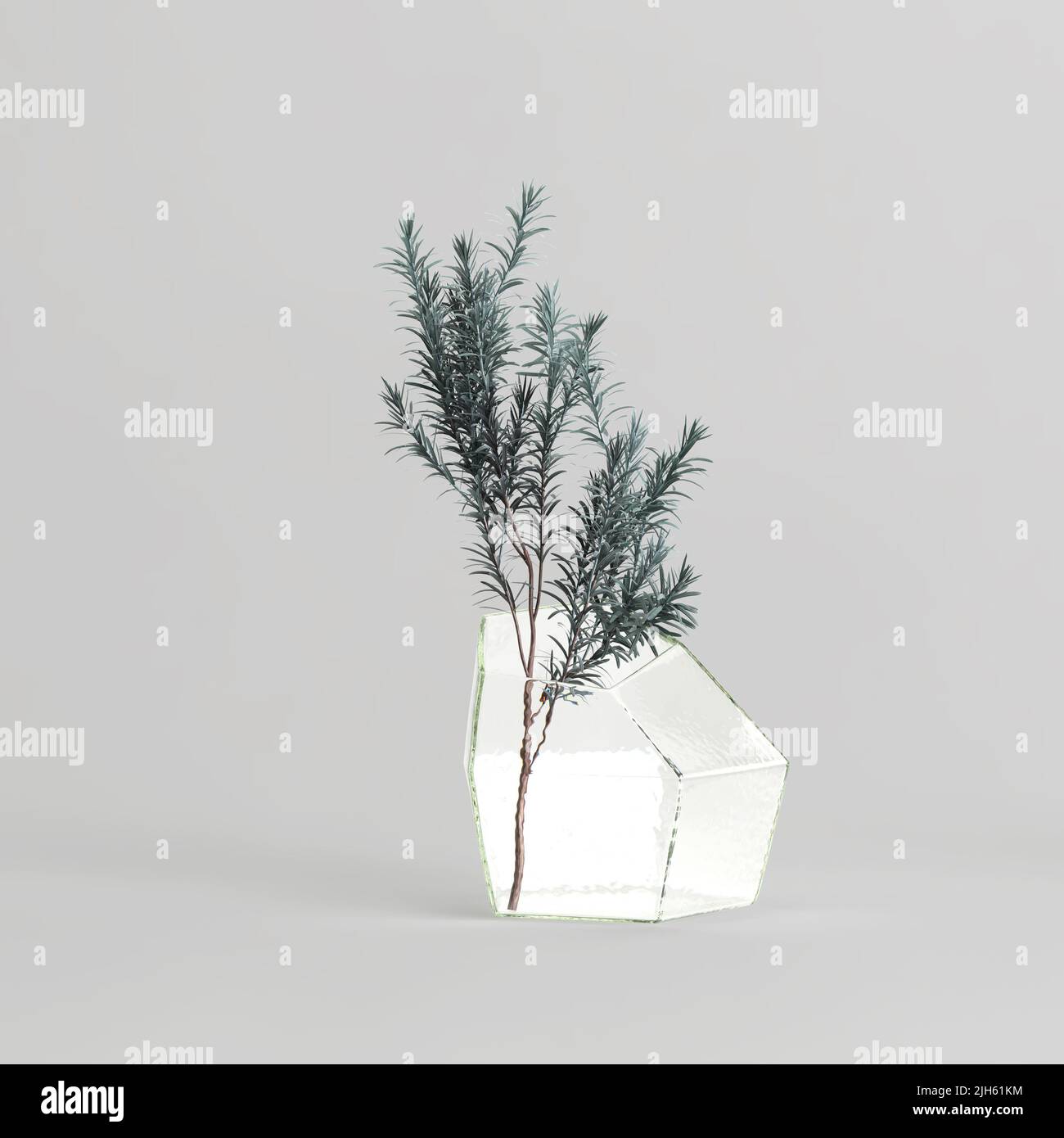 3d illustration of decorative vase inside isolated on white background ...