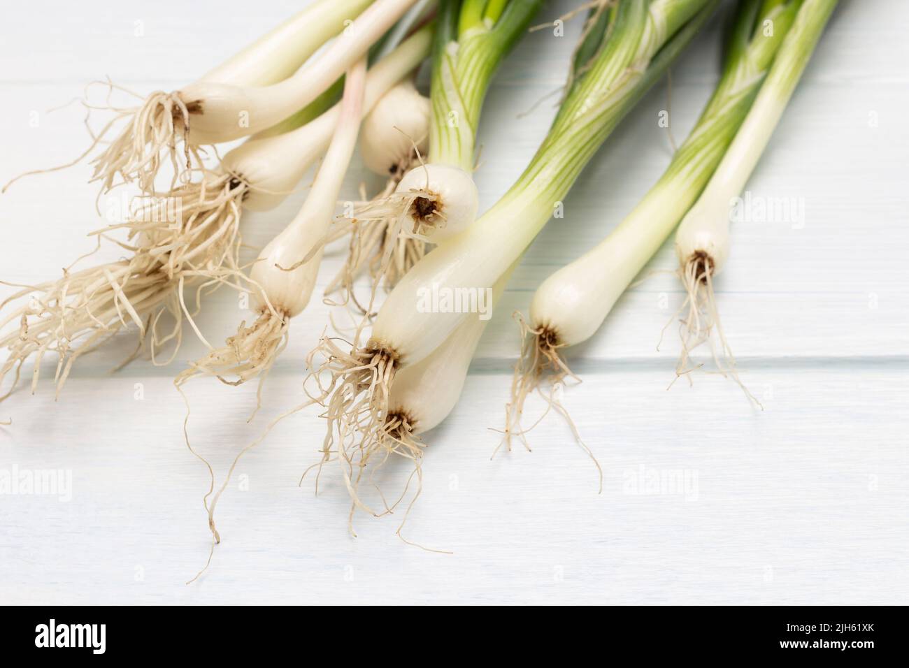 Green onions with roots. Close up. Top view. White background Stock ...