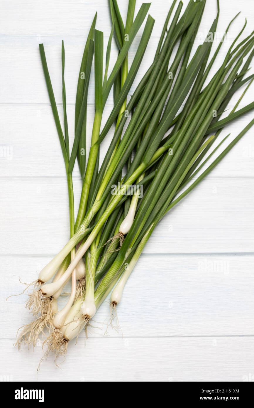 Fresh Green onions with roots. Flat lay. White background Stock Photo ...