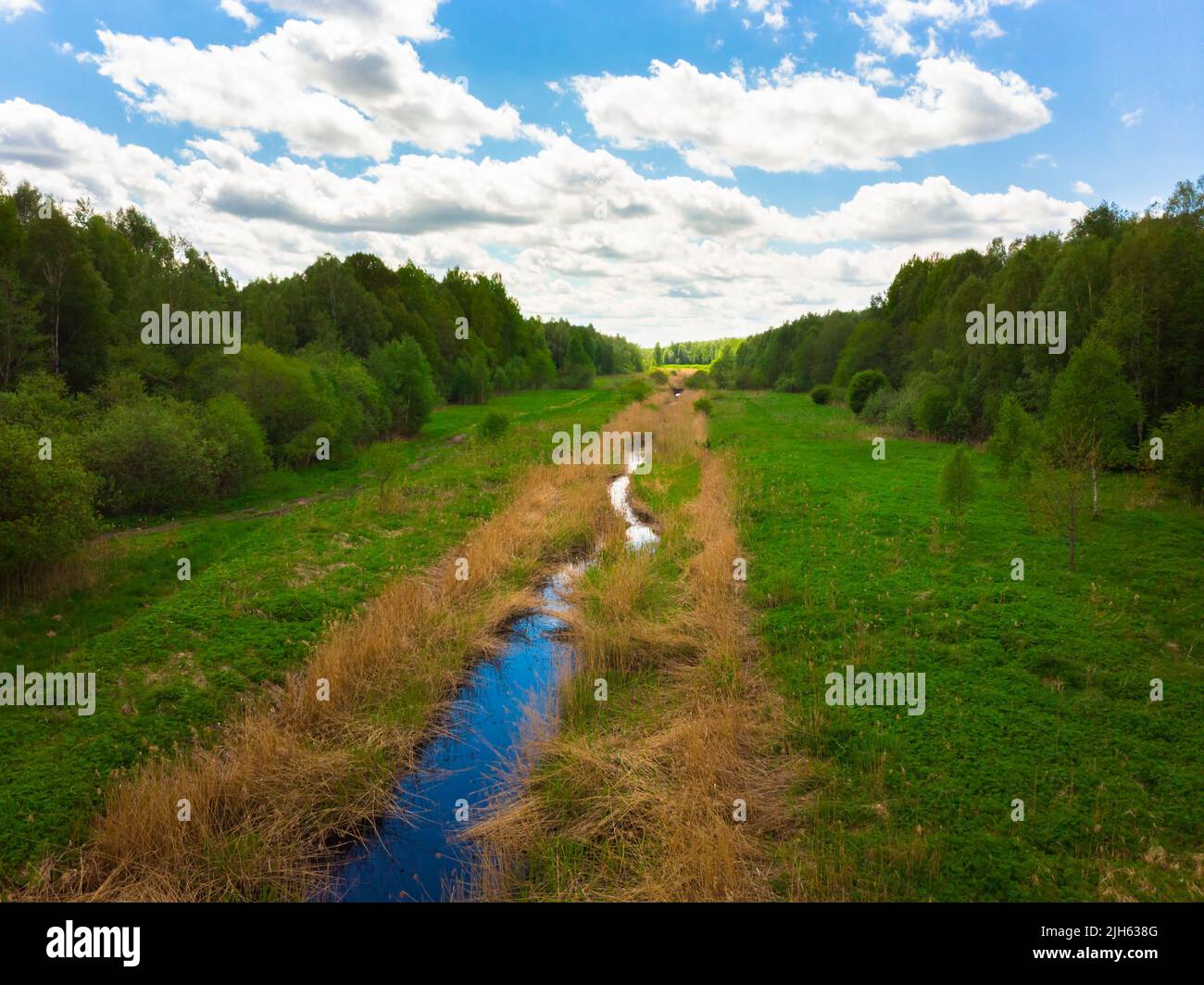 Forest river in lithuania countryside with pristine greenery in spring ...