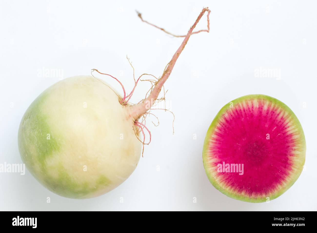 Big radish on a white background Stock Photo - Alamy