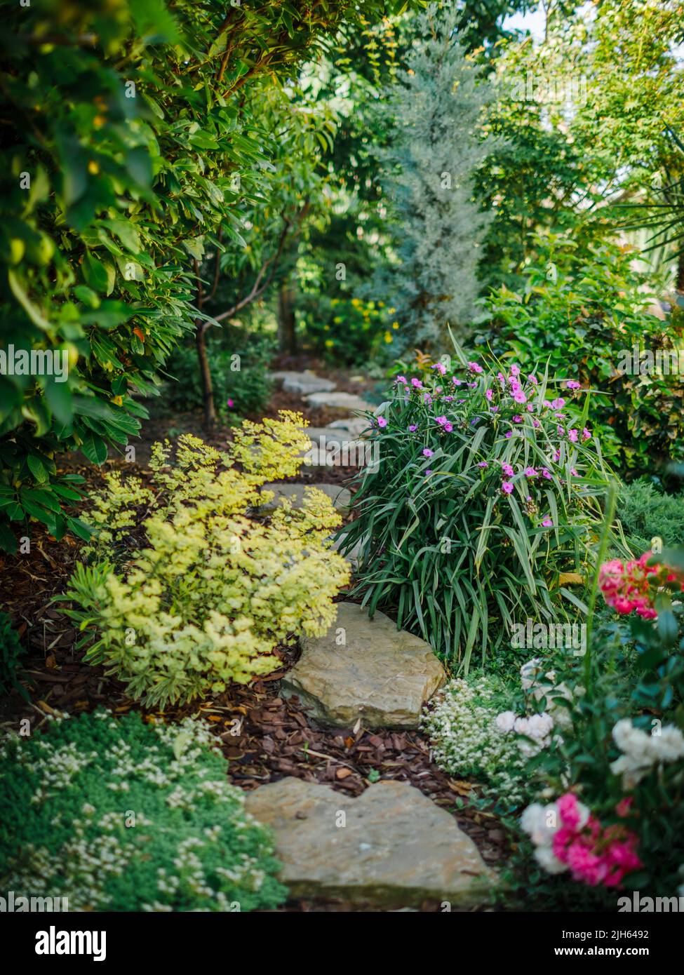 Landscape design with flower beds and path, natural landscaping in home ...