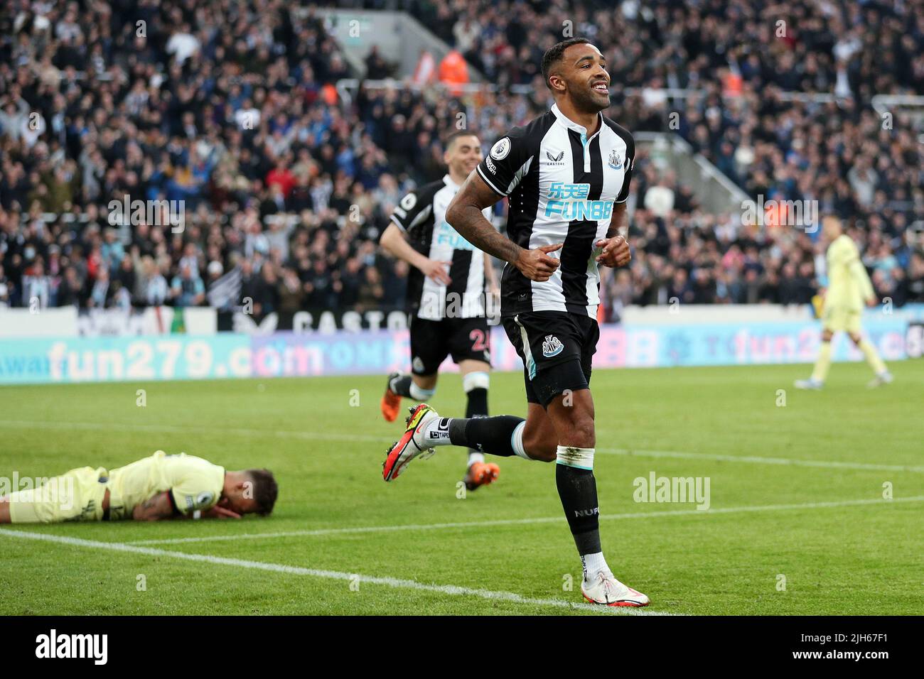 Callum Wilson of Newcastle United celebrates after scoring a goal to ...