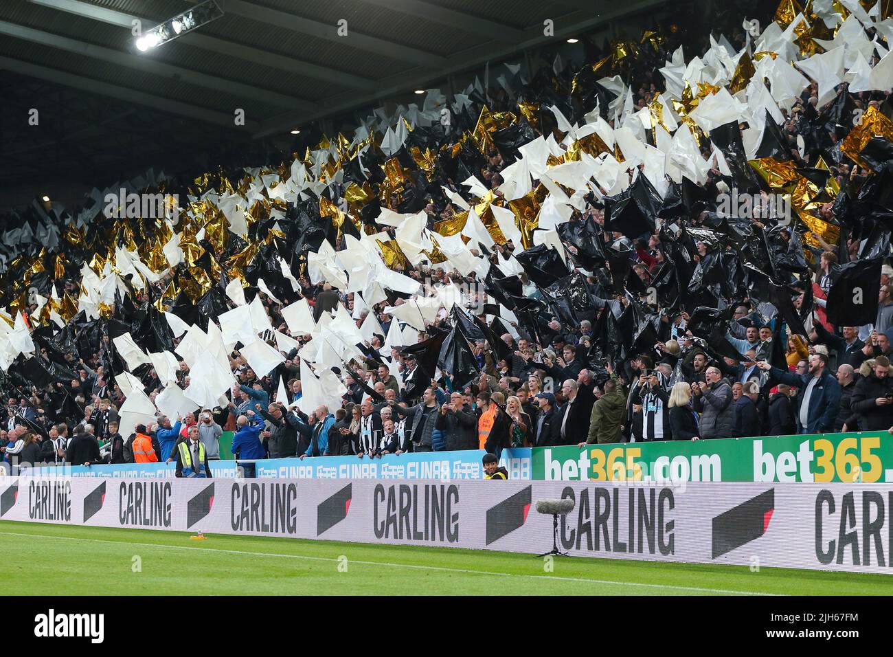 St james' park wor flags hi-res stock photography and images - Alamy