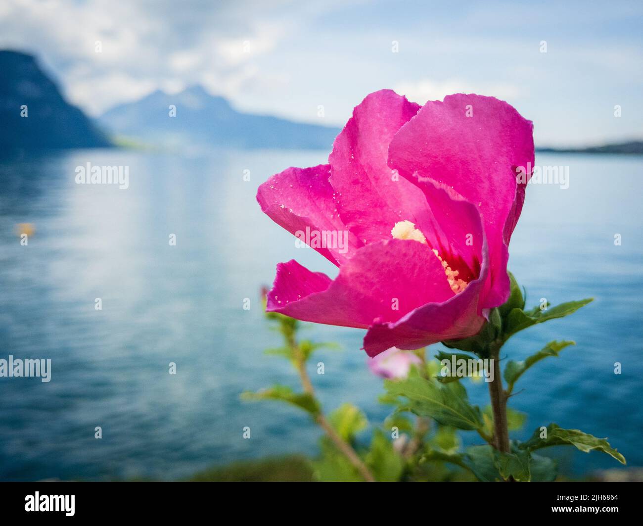 Switzerland stock images hi-res stock photography and images - Alamy