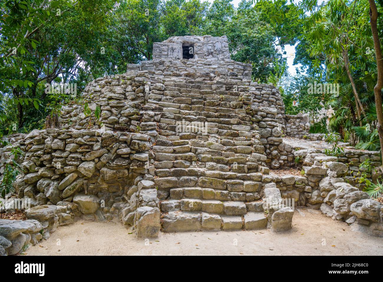 Mayan ruins in shadow of trees in jungle tropical forest Playa del ...