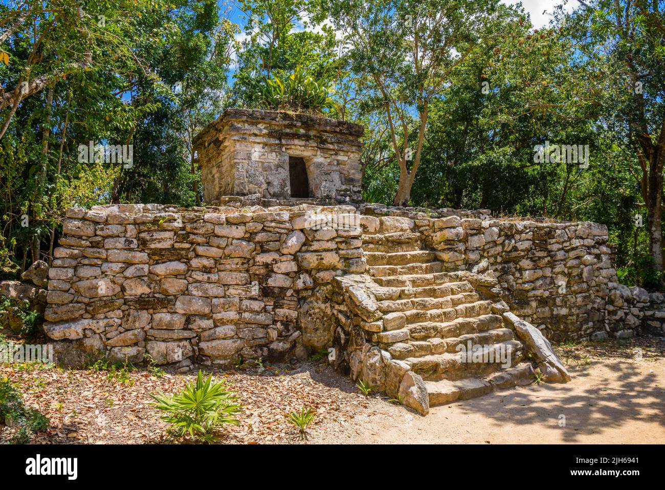 Mayan ruins in shadow of trees in jungle tropical forest Playa del ...