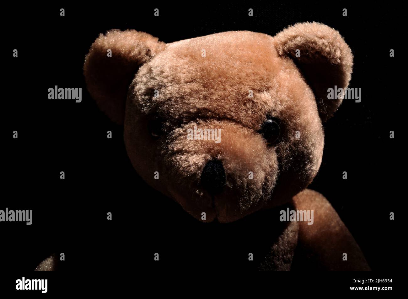 Brown bear face hi-res stock photography and images - Alamy