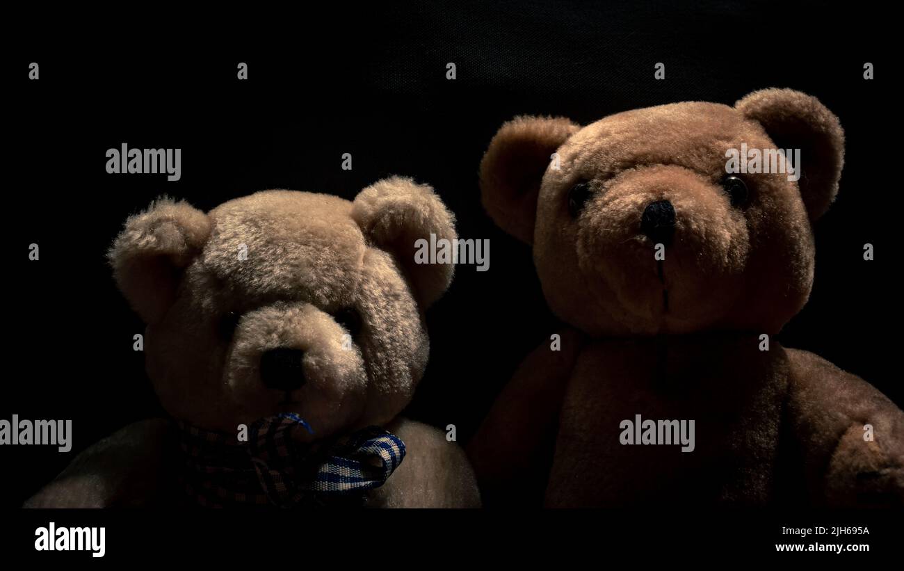 Teddy bears face hi-res stock photography and images - Alamy