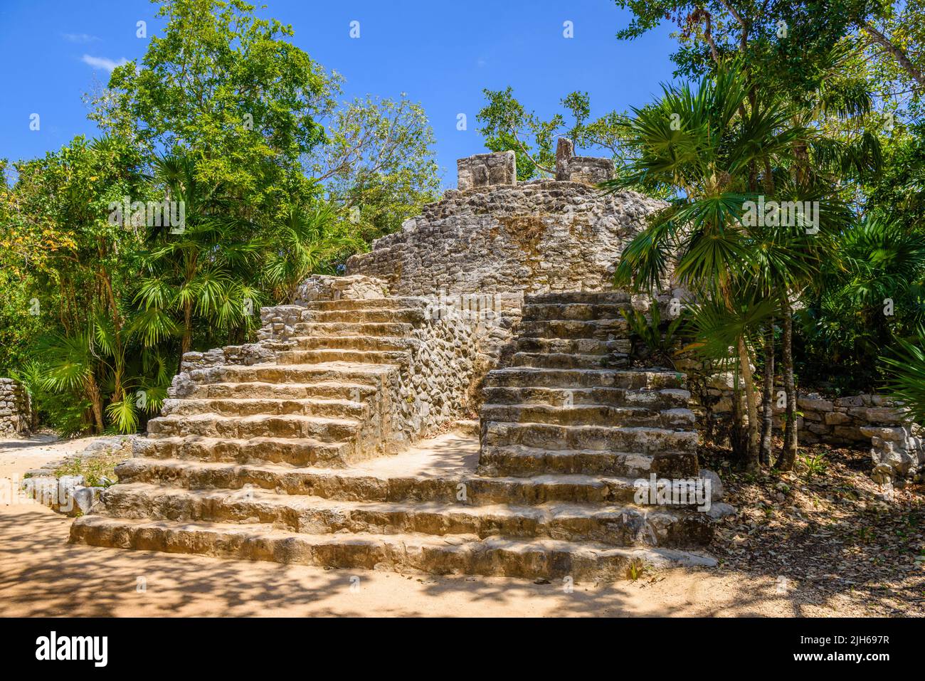 Mayan ruins in shadow of trees in jungle tropical forest Playa del ...