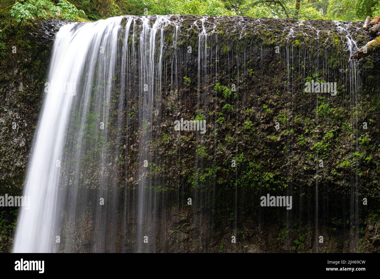 Drake Falls in Silver Falls State Park, Oregon Stock Photo - Alamy