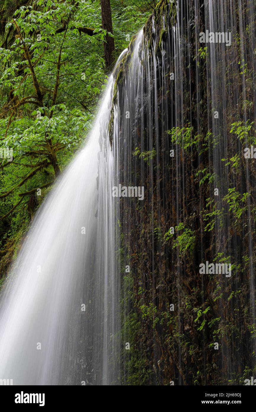 Drake Falls in Silver Falls State Park, Oregon Stock Photo - Alamy
