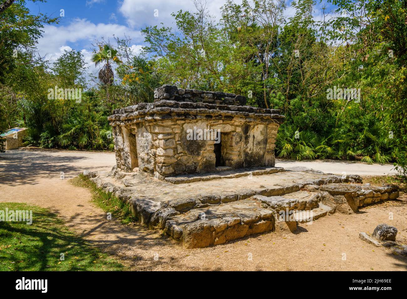 Mayan ruins in shadow of trees in jungle tropical forest Playa del ...