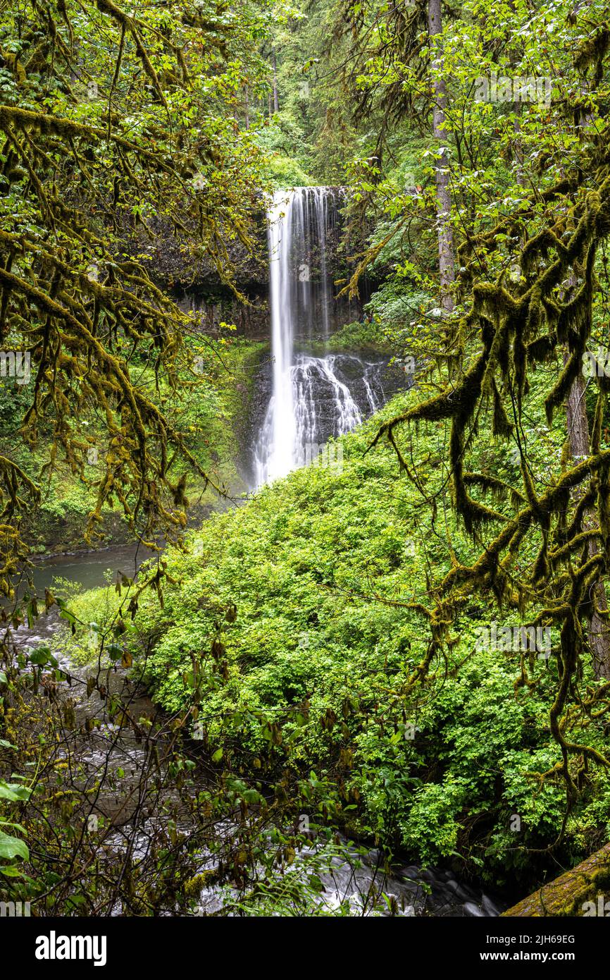 Drake Falls in Silver Falls State Park, Oregon Stock Photo - Alamy