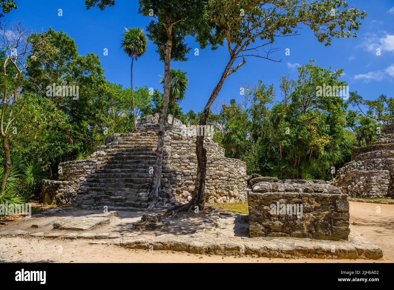 Mayan ruins in shadow of trees in jungle tropical forest Playa del ...