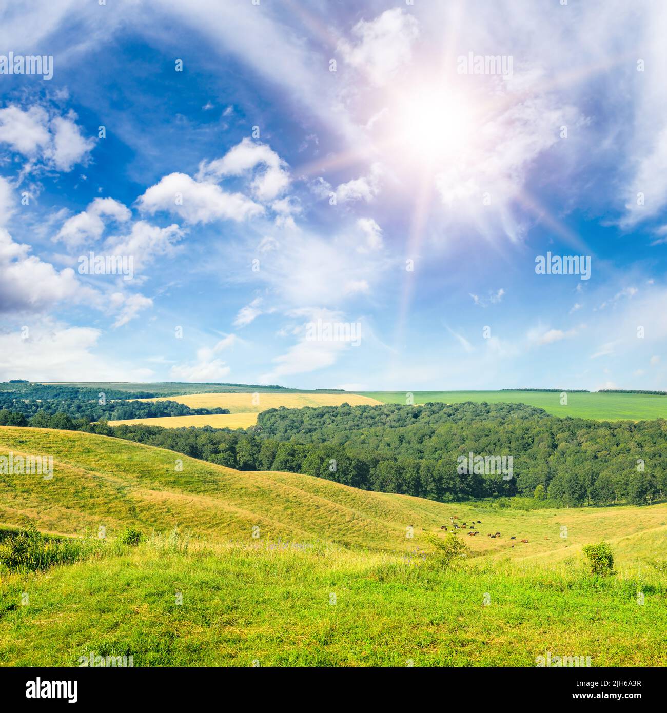 Pasture land grass hi-res stock photography and images - Alamy