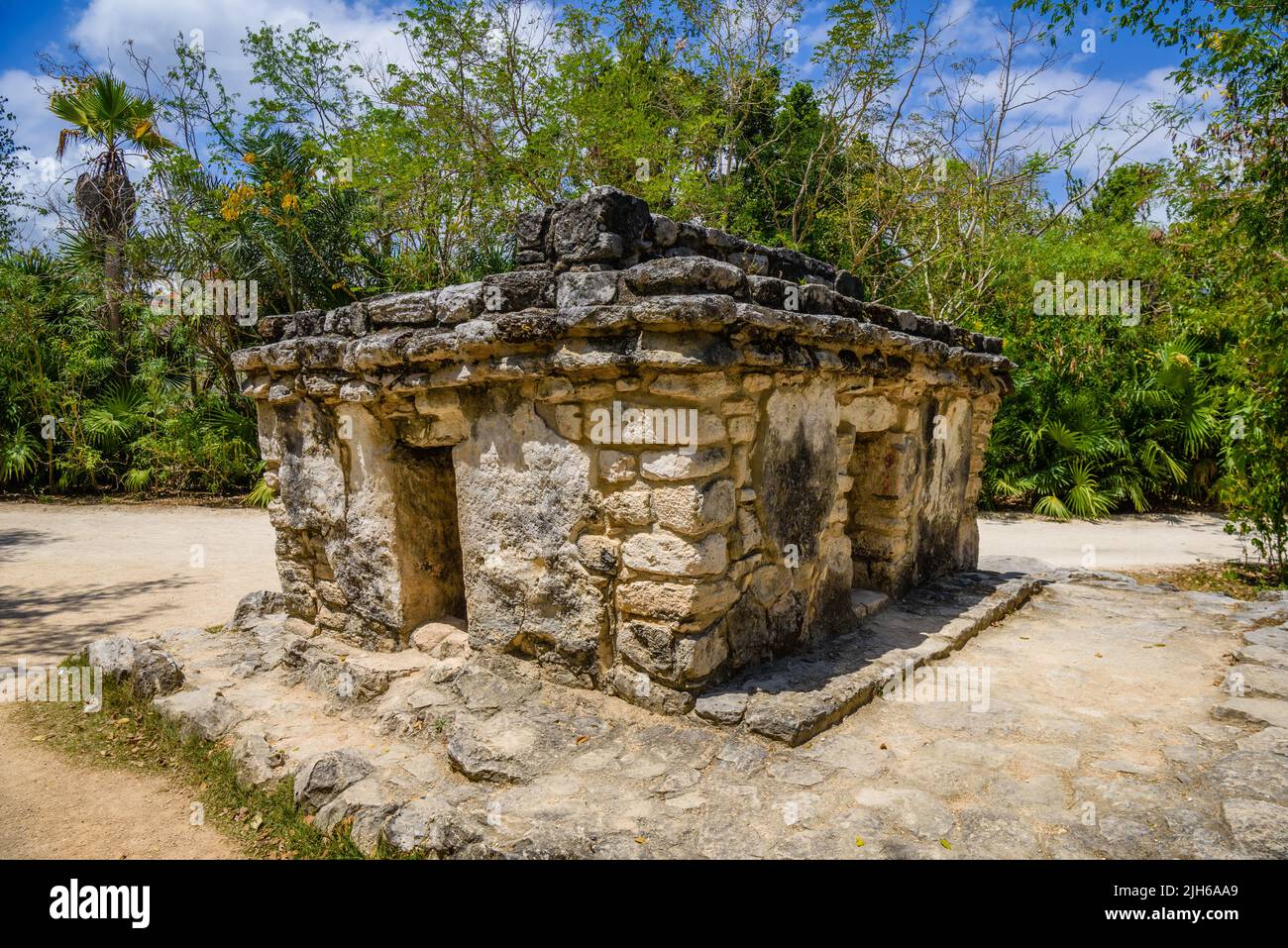 Mayan ruins in shadow of trees in jungle tropical forest Playa del ...