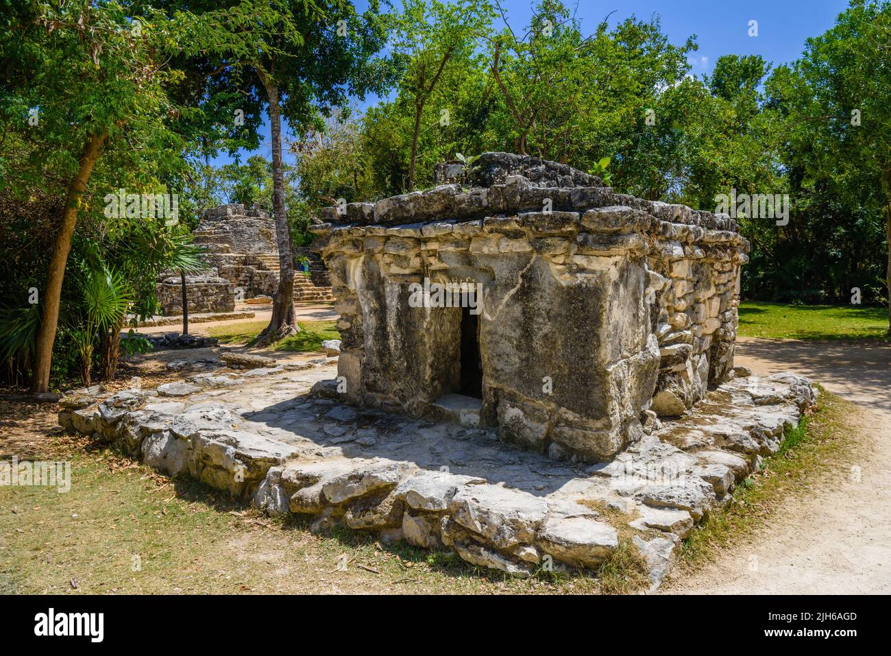 Mayan ruins in shadow of trees in jungle tropical forest Playa del ...