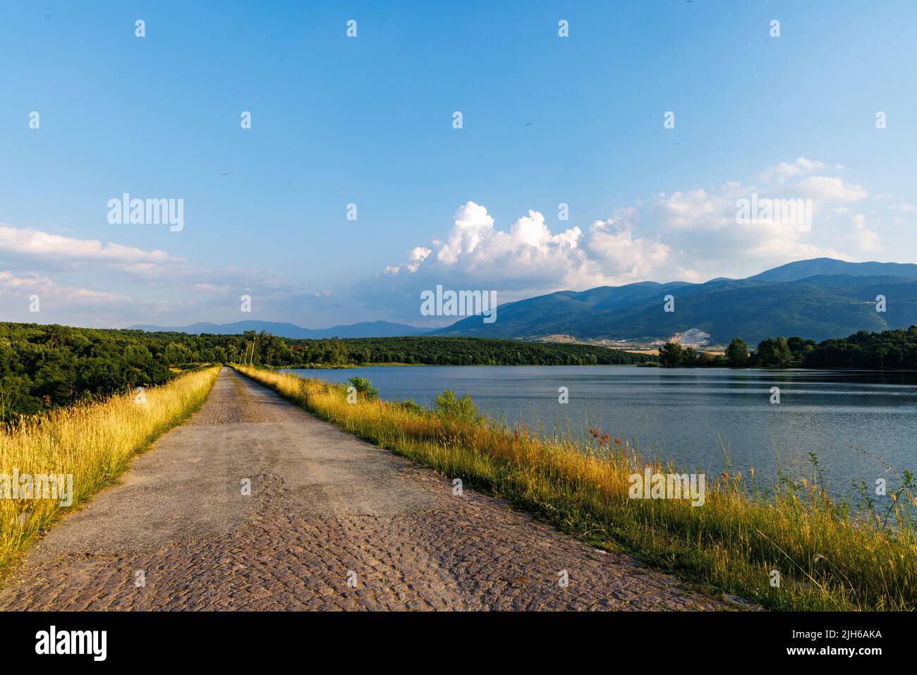 Even long vegetative road of sand and clay passes through swampy blue ...