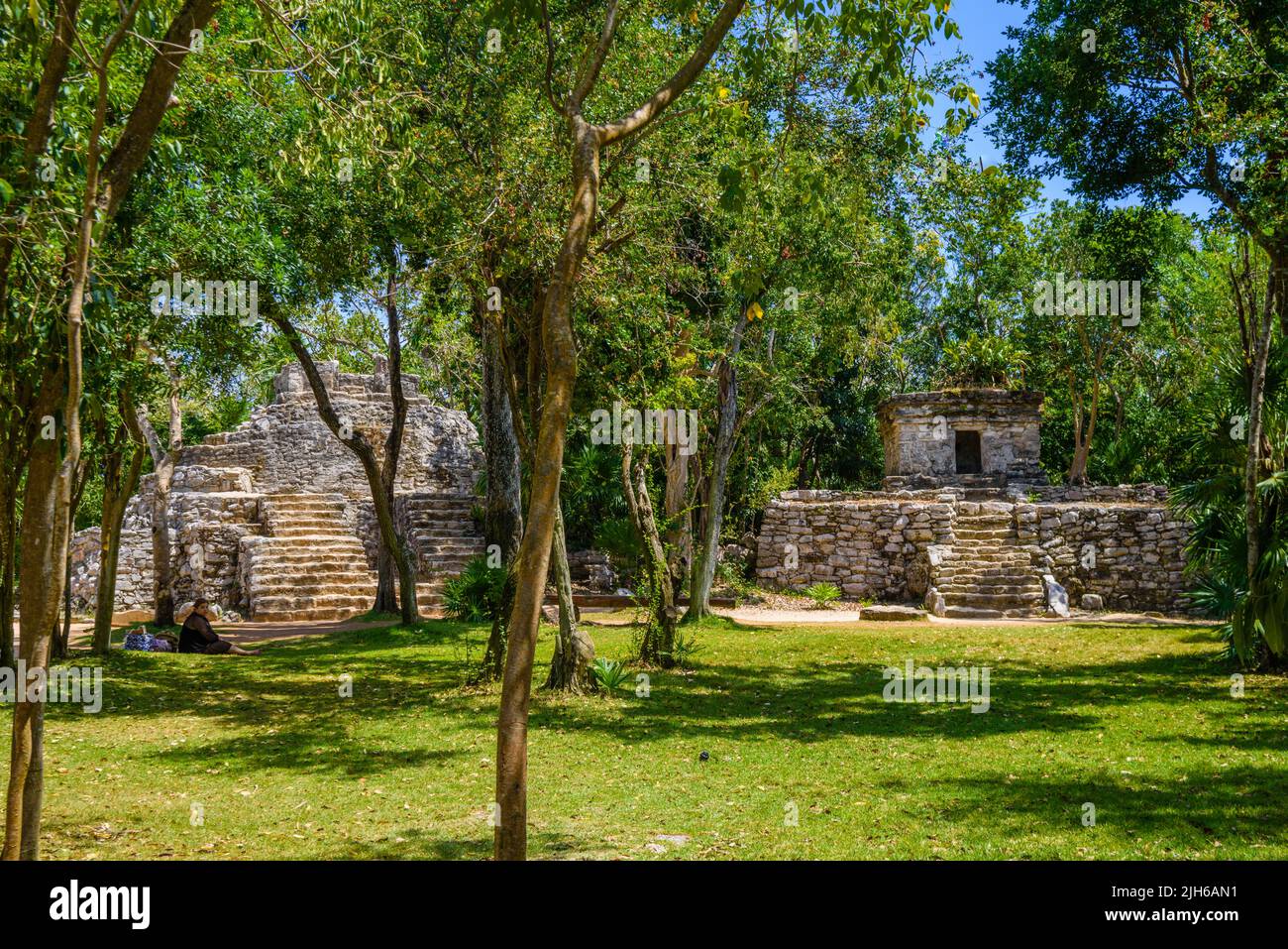 Mayan ruins in shadow of trees in jungle tropical forest Playa del ...