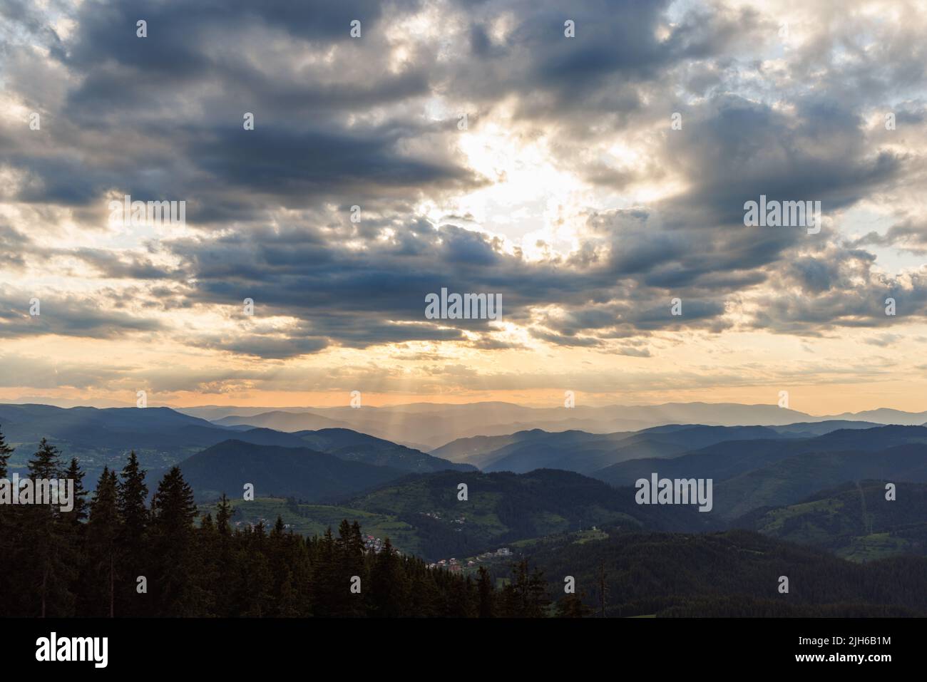 Cold cloudy rainy weather over low hills covered with spruce evergreen ...