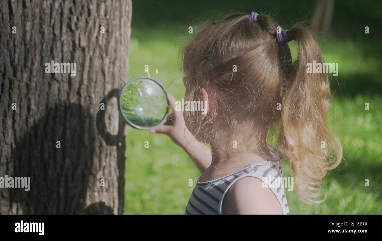 Little girl looks through the lens at insects on tree trunk. Close-up ...