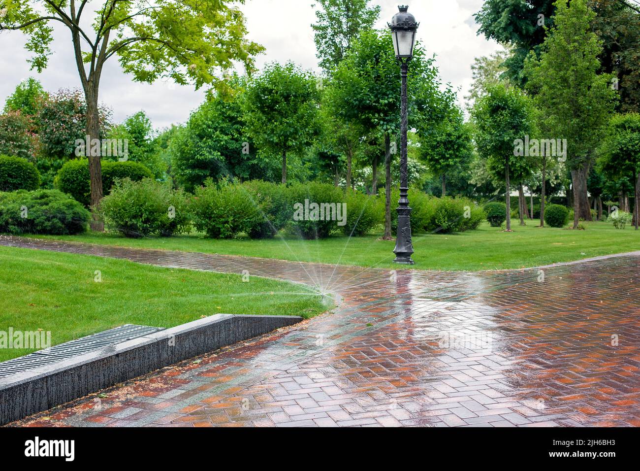 Irrigation system landscaping watering in park with plants, water spray ...