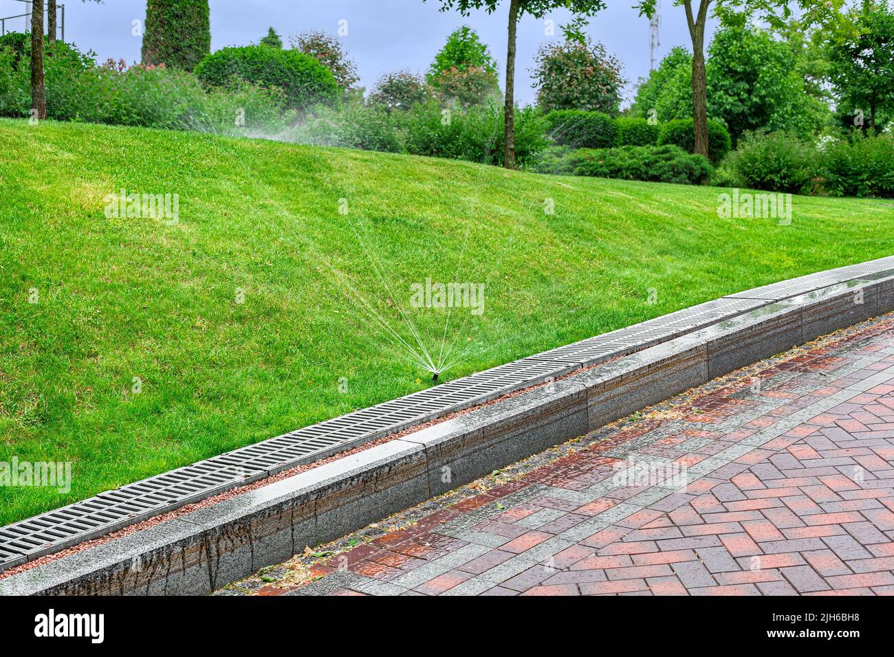 automatic lawn watering system in the park with plants, water spray ...