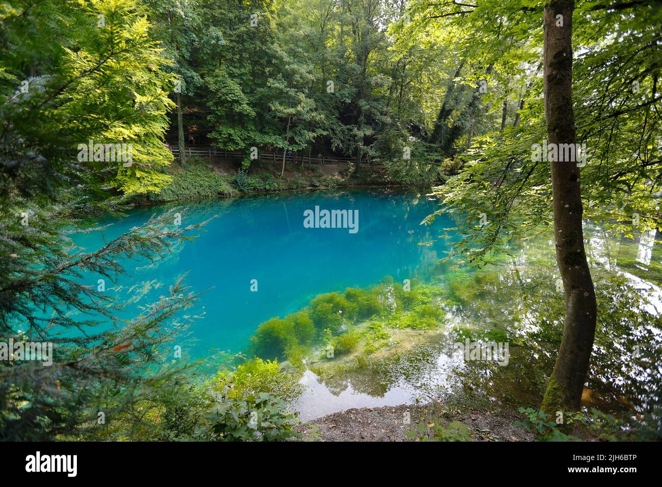 Blautopf, karst spring, water body, spring pot, deciduous trees ...