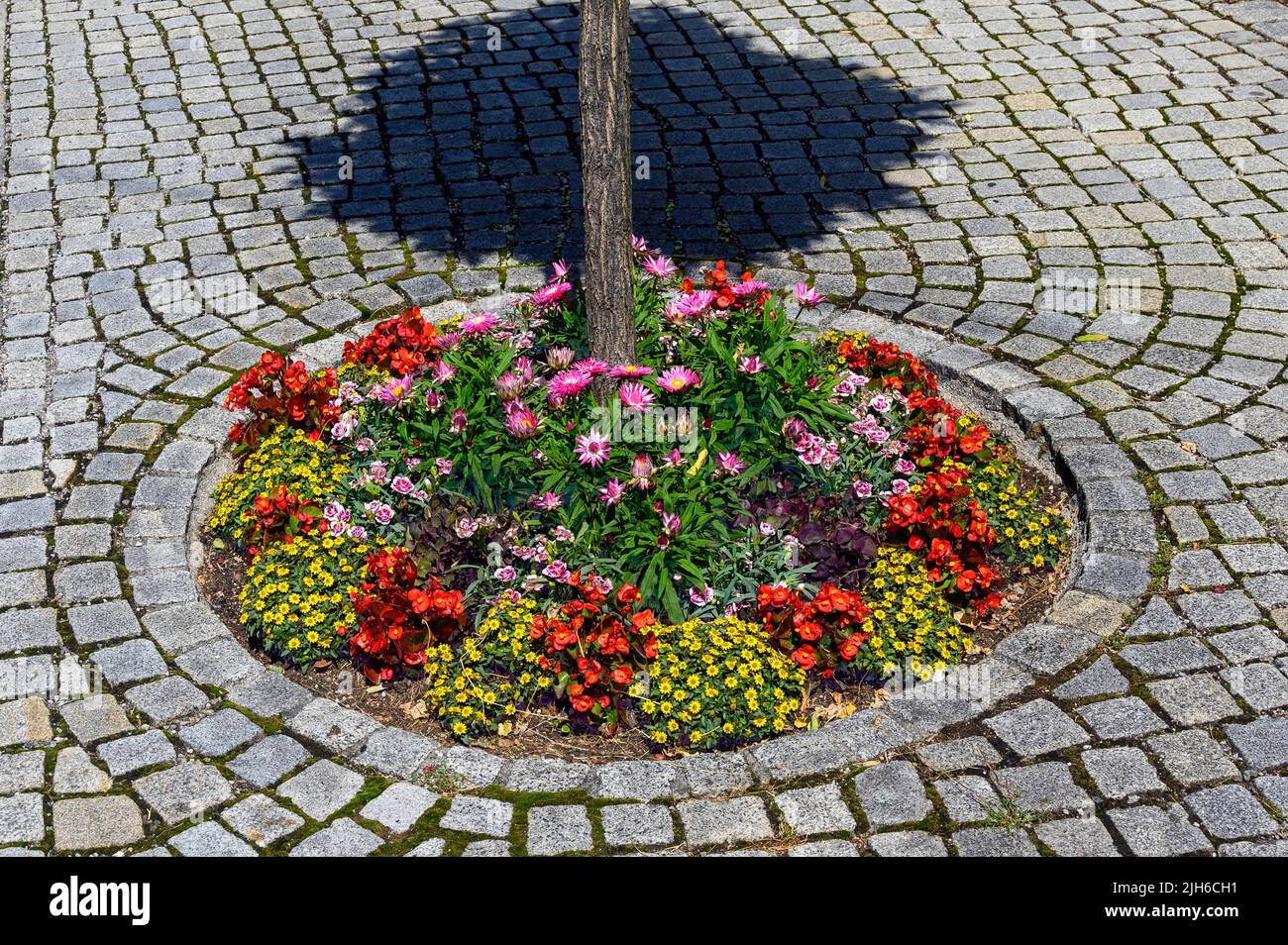 Flower roundel hi-res stock photography and images - Alamy
