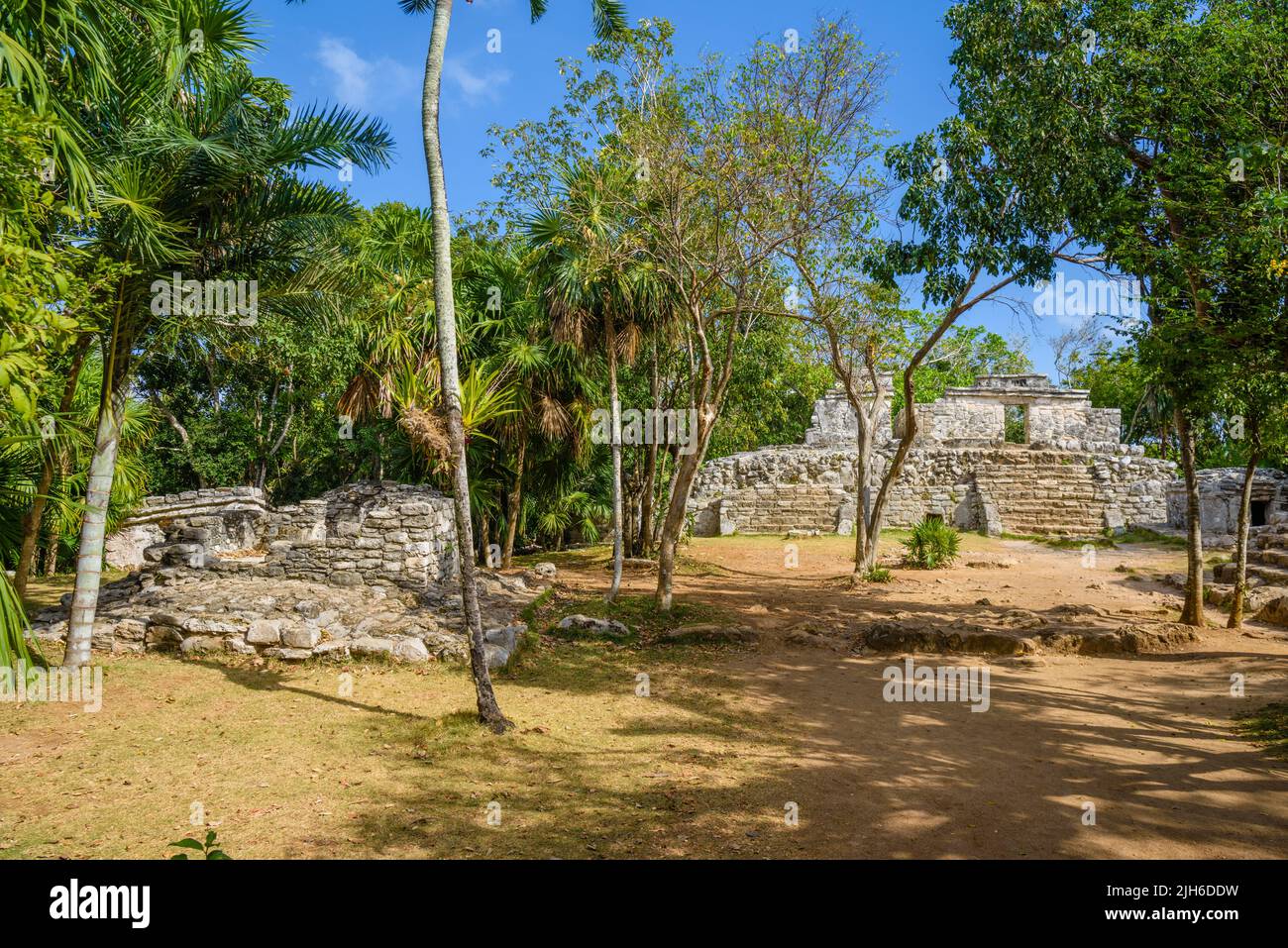 Mayan ruins in shadow of trees in jungle tropical forest Playa del ...