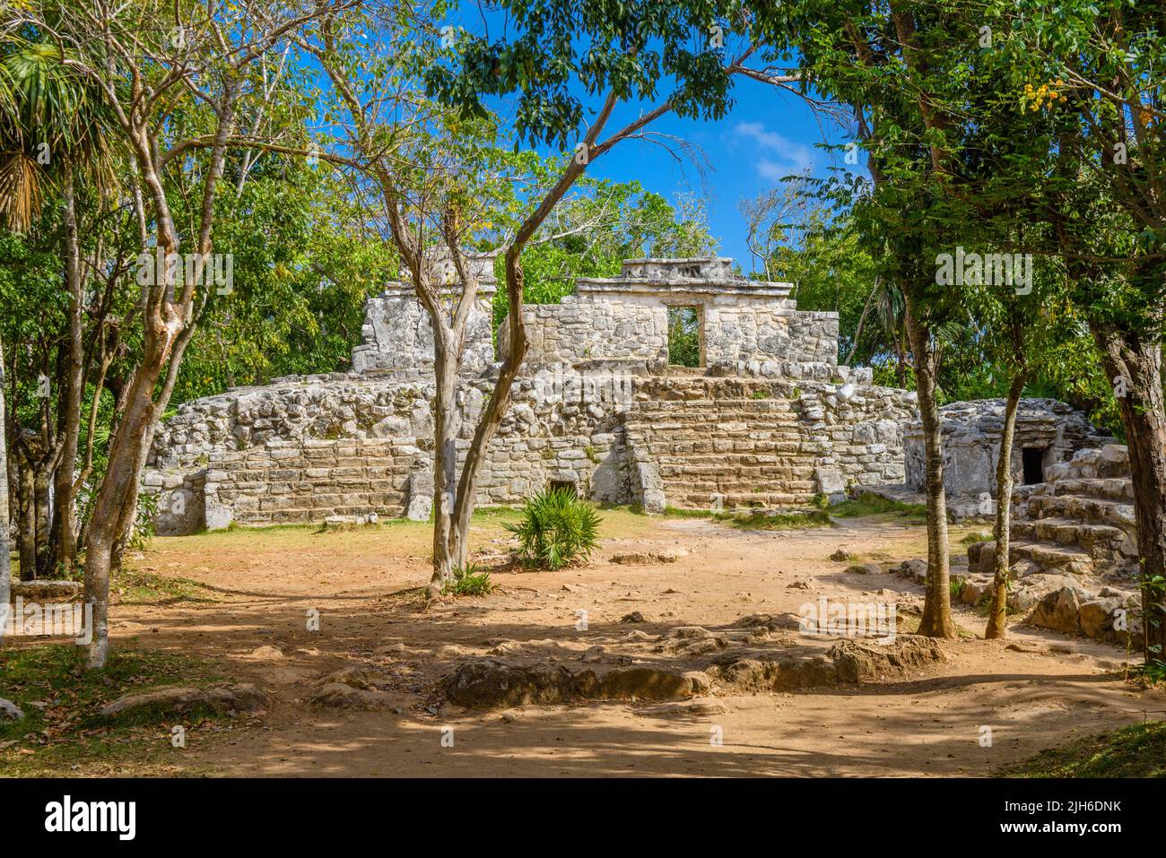 Mayan ruins in shadow of trees in jungle tropical forest Playa del ...