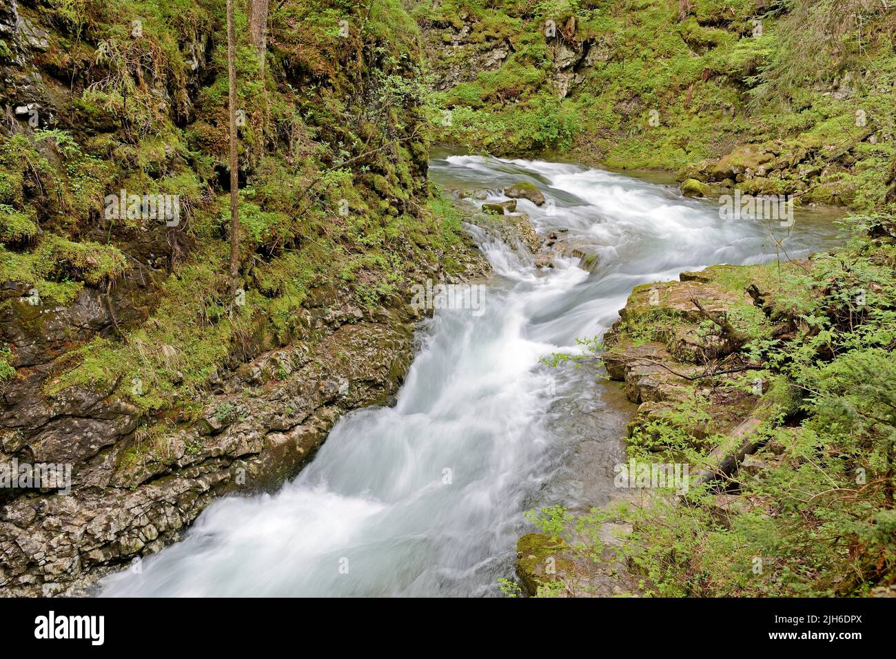 Mountain stream with rapids, Schwarzwasserbach, Schwarzwassertal ...